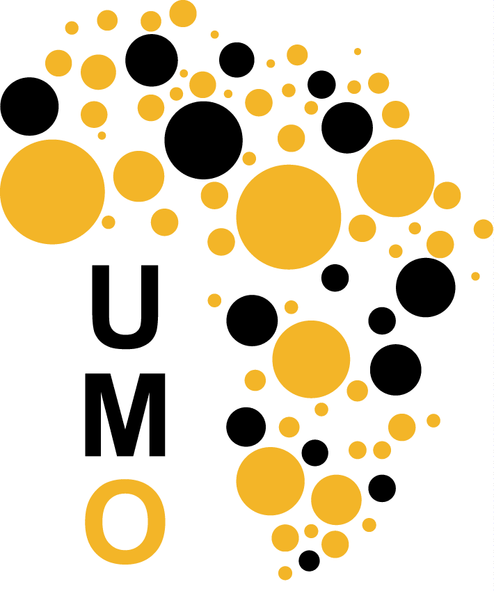 Directeur Sécurité Site - UMO Intérim